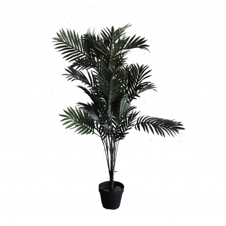 Palmera Fenix 110 cm